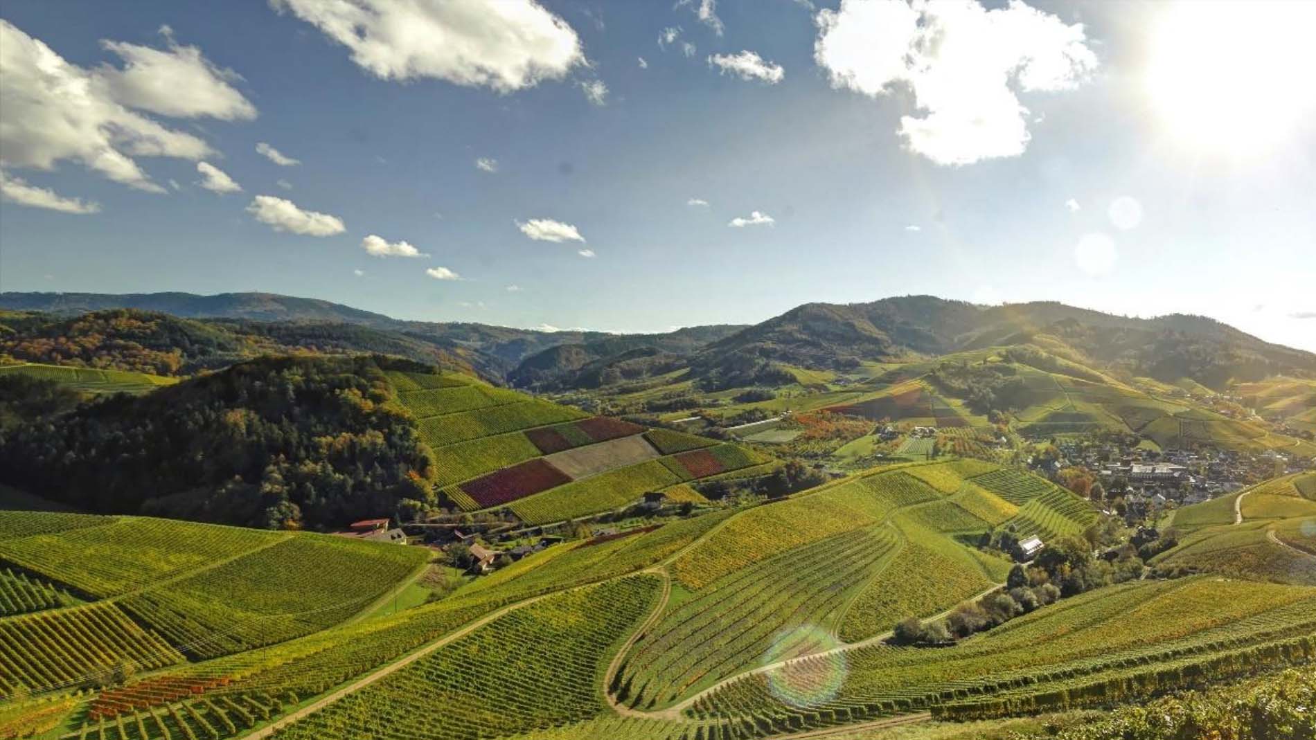 Offenburg - Immo-Pro-Invest GmbH